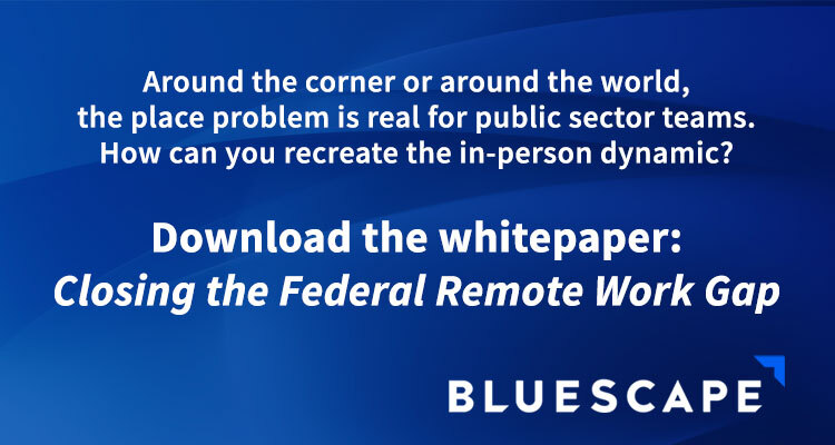 Bluescape Government | Carahsoft